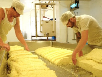 Montgomery's Cheddar - Farm Tour with Jamie Montgomery – Neal's Yard Dairy