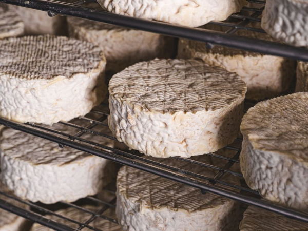 Cheese – Neal's Yard Dairy