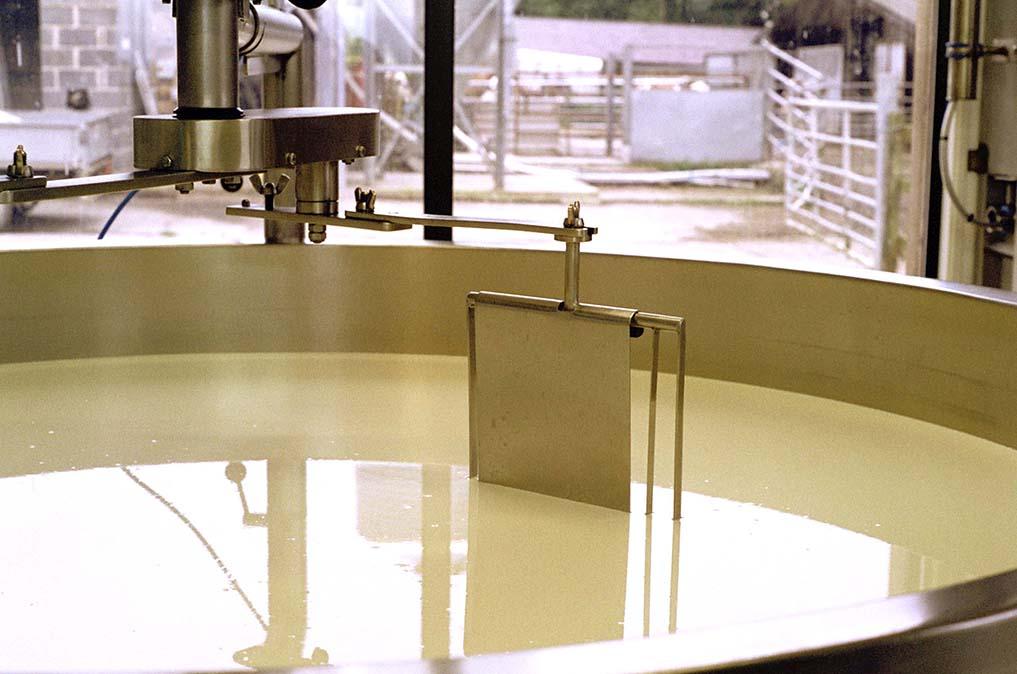 The hidden role of raw milk microbes – Neal's Yard Dairy