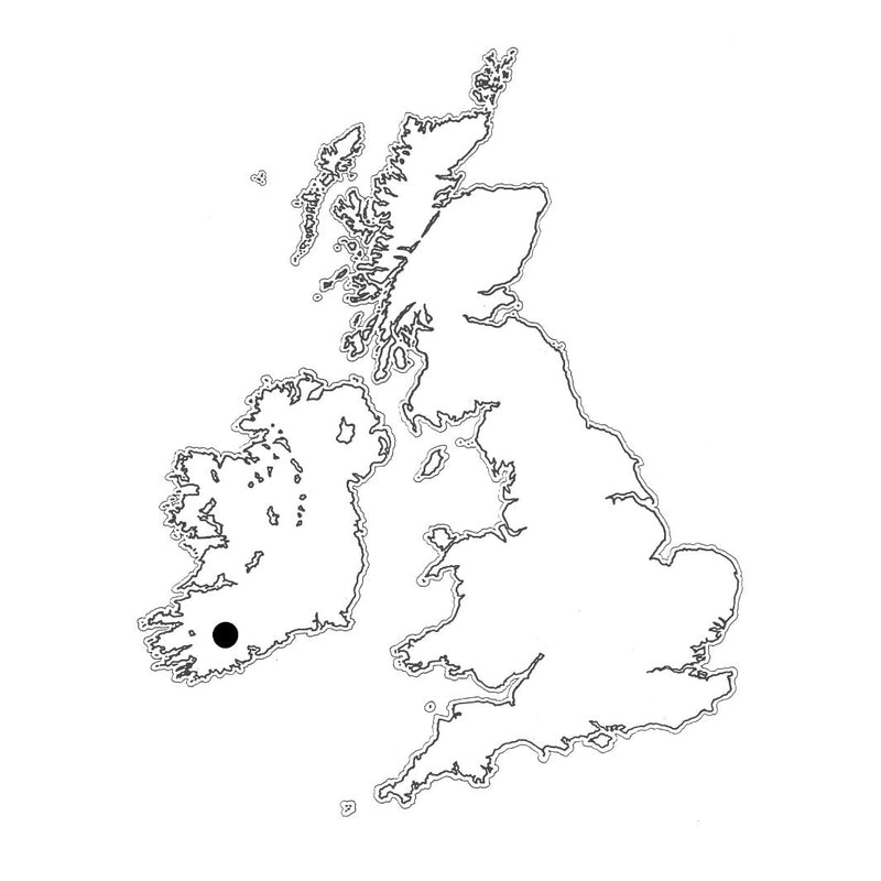 Coolea – Neal's Yard Dairy
