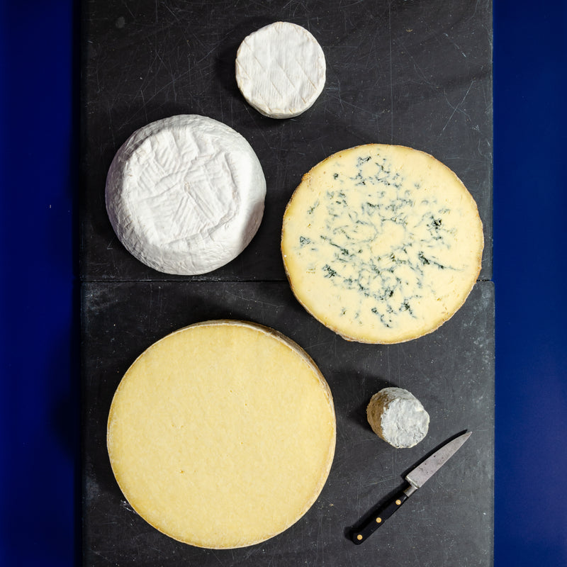 Celebration Cheese Cake Dairy Shorthorn – Neal's Yard Dairy