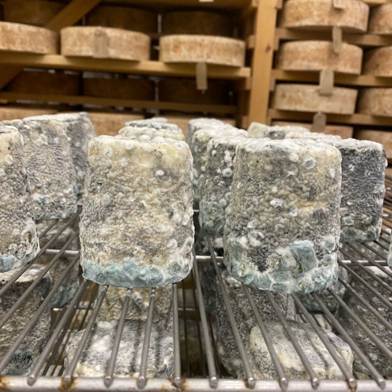 Dorstone – Neal's Yard Dairy