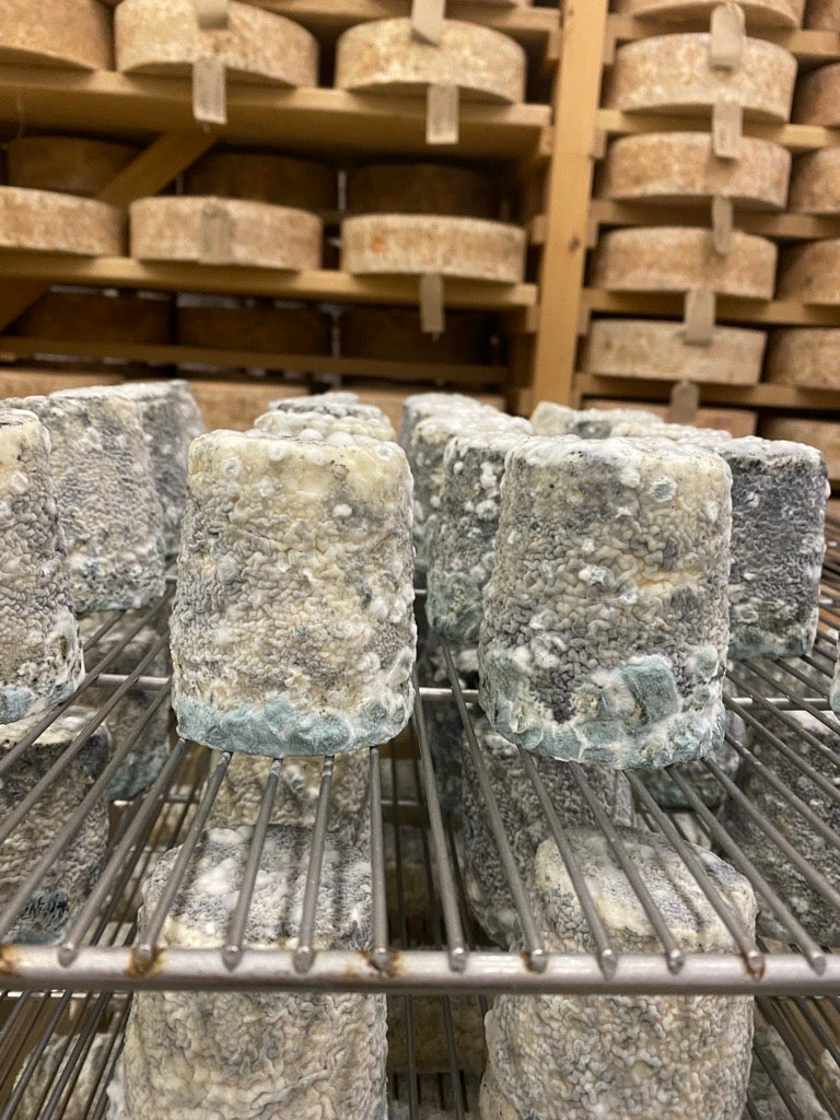 Dorstone – Neal's Yard Dairy