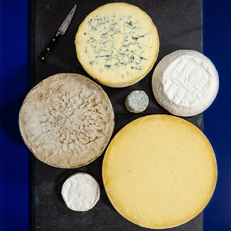 Celebration Cheese Cake Montbeliarde – Neal's Yard Dairy