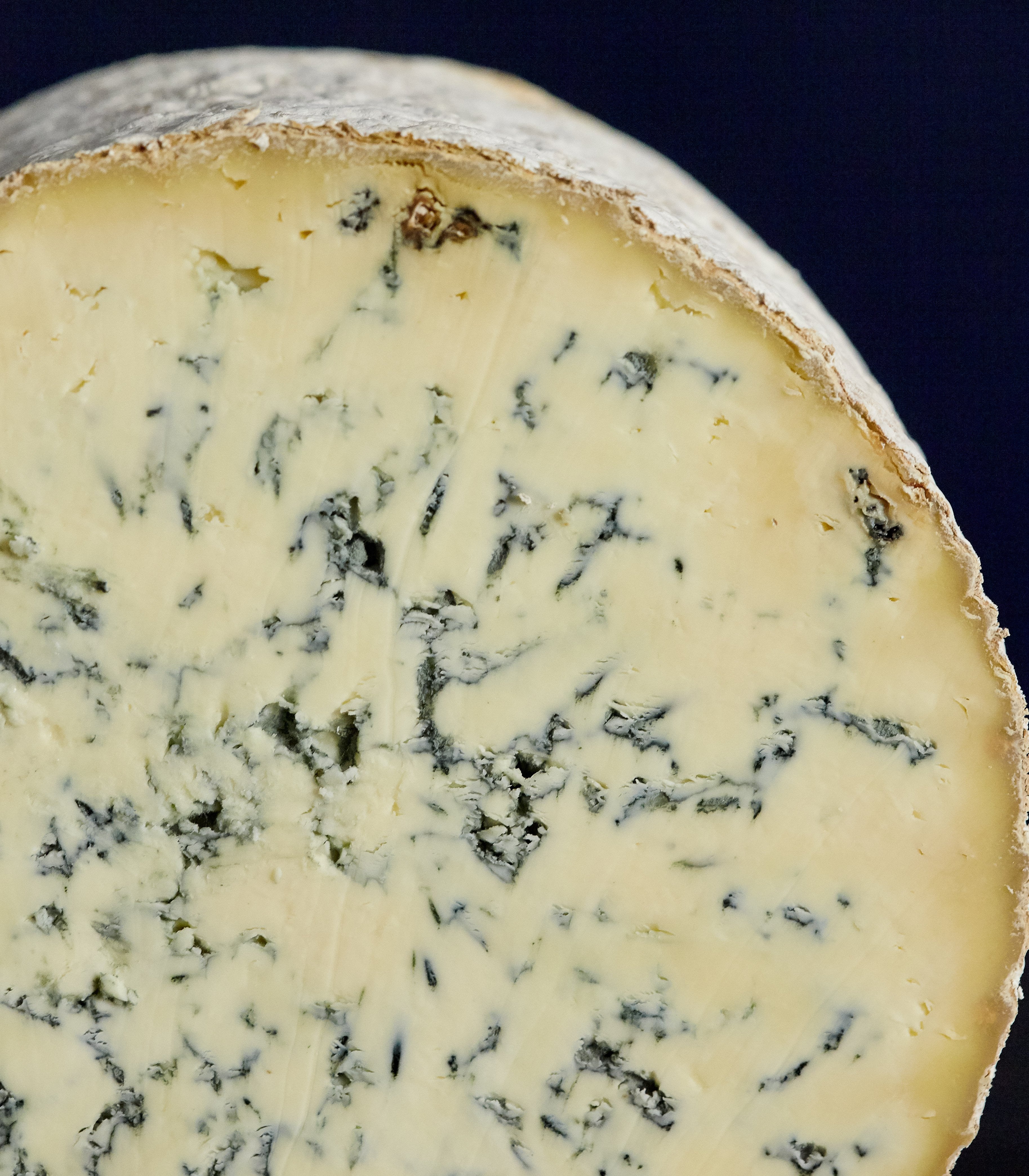 Cheese of the Month Subscription Hub – Neal's Yard Dairy