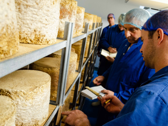 Neal’s Yard Dairy: selecting and maturing outstanding British cheese ...