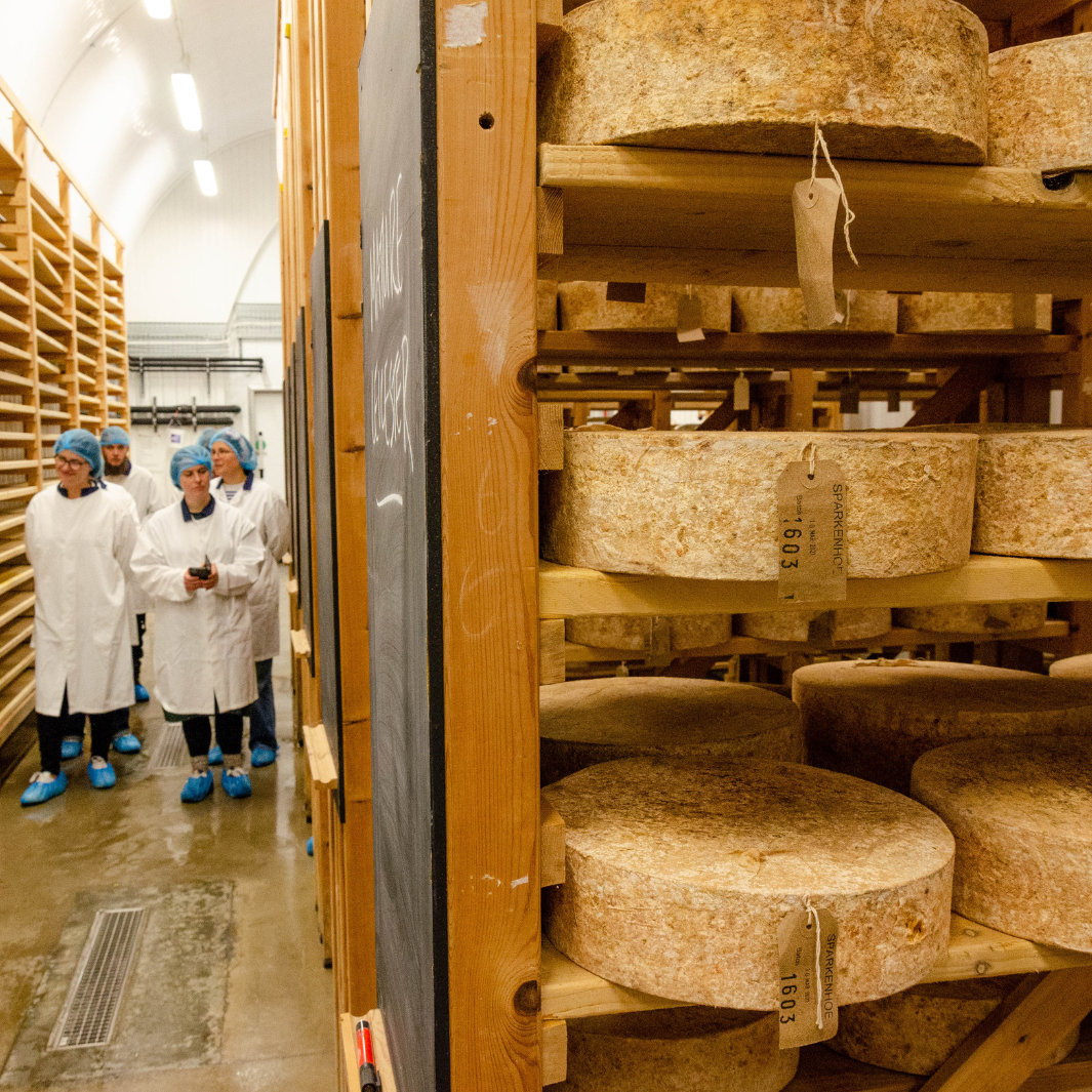 Behind-the-Scenes Tour & Tasting: Saturday 24th January 2026 – Neal's ...