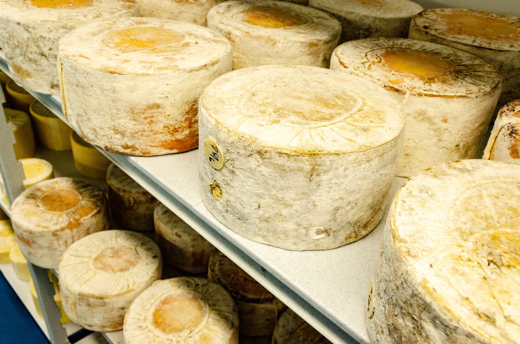 Whin Yeats Wensleydale – Neal's Yard Dairy